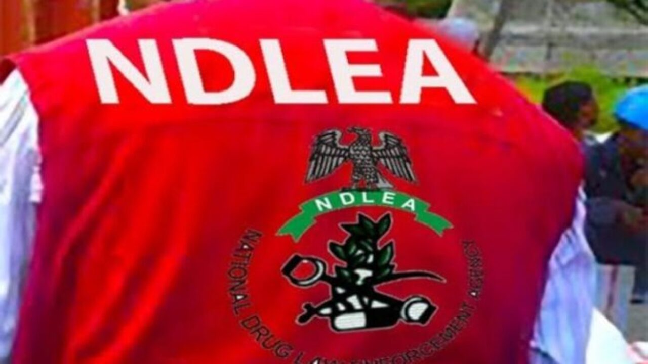 NDLEA Proposes Mandatory Drug Tests for Driver’s Licence Applicants ...